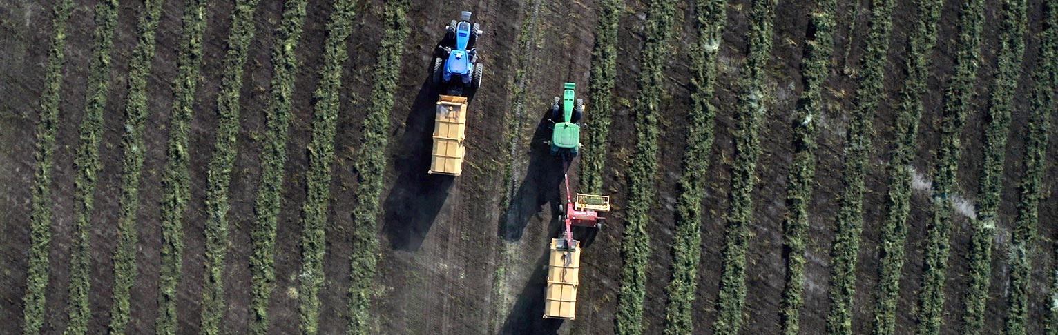 Pendleton School District