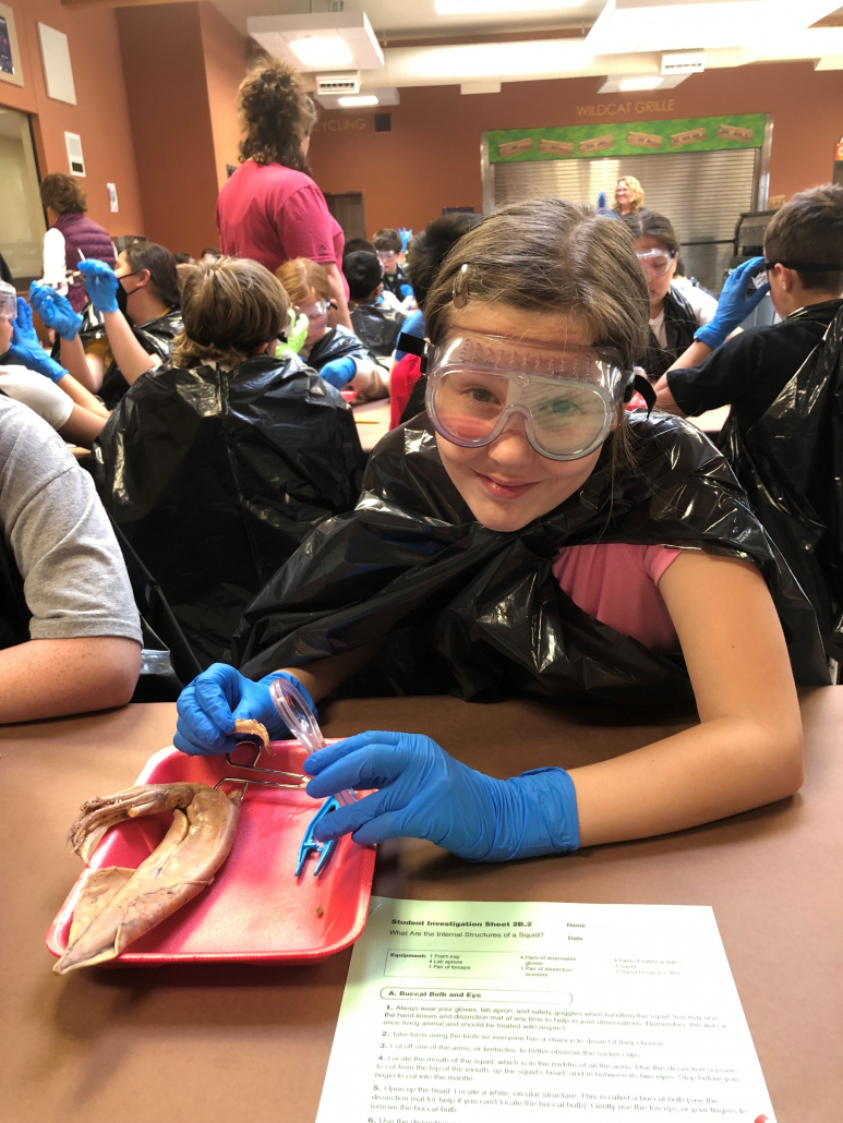 Washington Elementary 4th Graders Dissect Squids - Pendleton School ...
